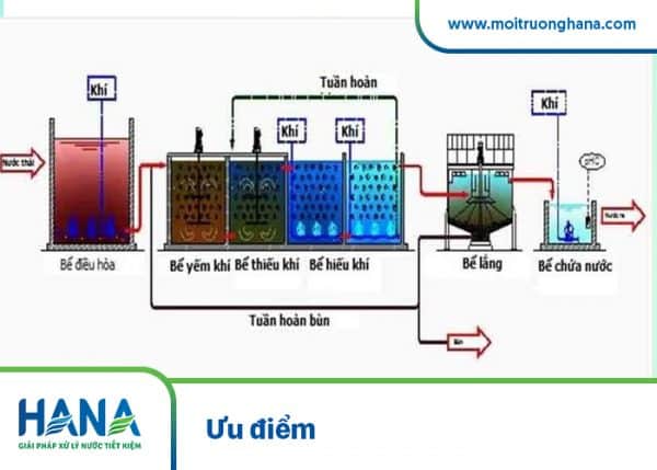 Cấu tạo và nguyên lý hoạt động của bể Anoxic